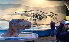 Dynamoterror | Prehistoric Wiki | Fandom