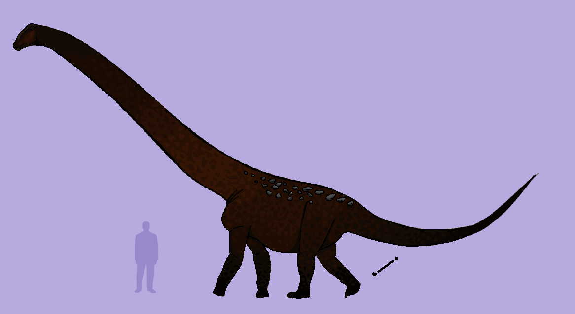 Jainosaurus | Prehistoric Wiki | Fandom
