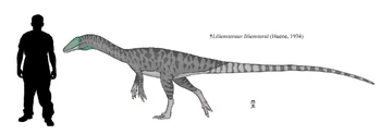 Liliensternus | Prehistoric Wiki | Fandom