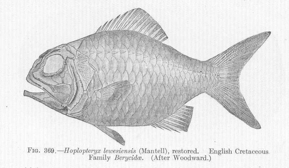 Hoplopteryx | Prehistoric Wiki | Fandom