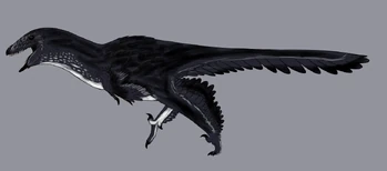 Stenonychosaurus | Prehistoric Wiki | Fandom