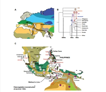 Extinct Hominid 1 | Prehistoric Wiki | Fandom