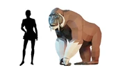 Gigantopithecus | Prehistoric Wiki | Fandom
