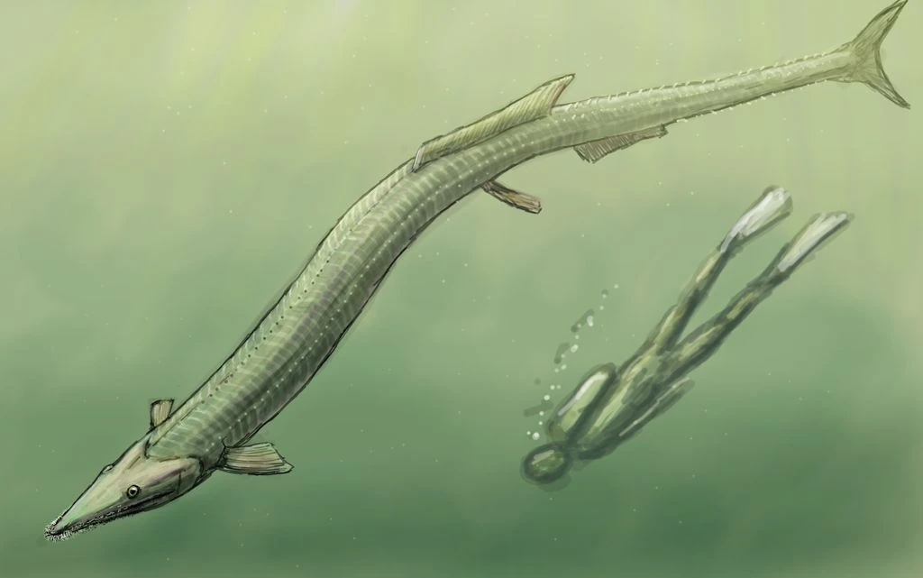 Stratodus | Prehistoric Wiki | Fandom