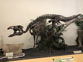 Edmontosaurus | Prehistoric Wiki | Fandom