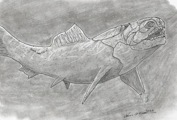 Gorgonichthys | Prehistoric Wiki | Fandom