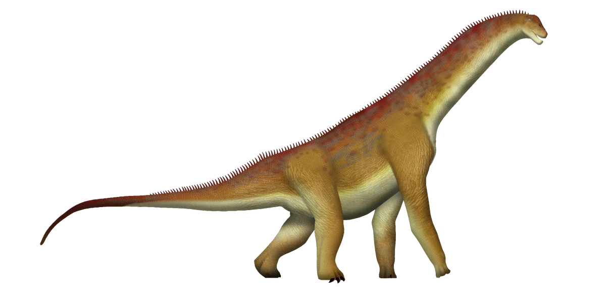 Isisaurus | Prehistoric Wiki | Fandom