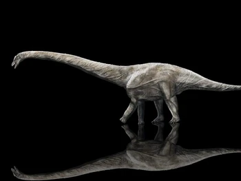 Supersaurus | Prehistoric Wiki | Fandom