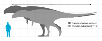 Tyrannotitan | Prehistoric Wiki | Fandom
