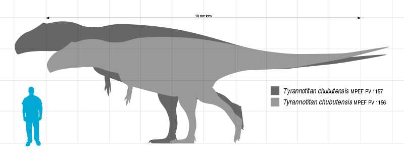 Tyrannotitan | Prehistoric Wiki | Fandom