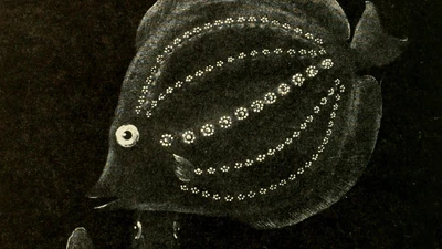 Discuss Everything About Prehistoric Wiki | Fandom