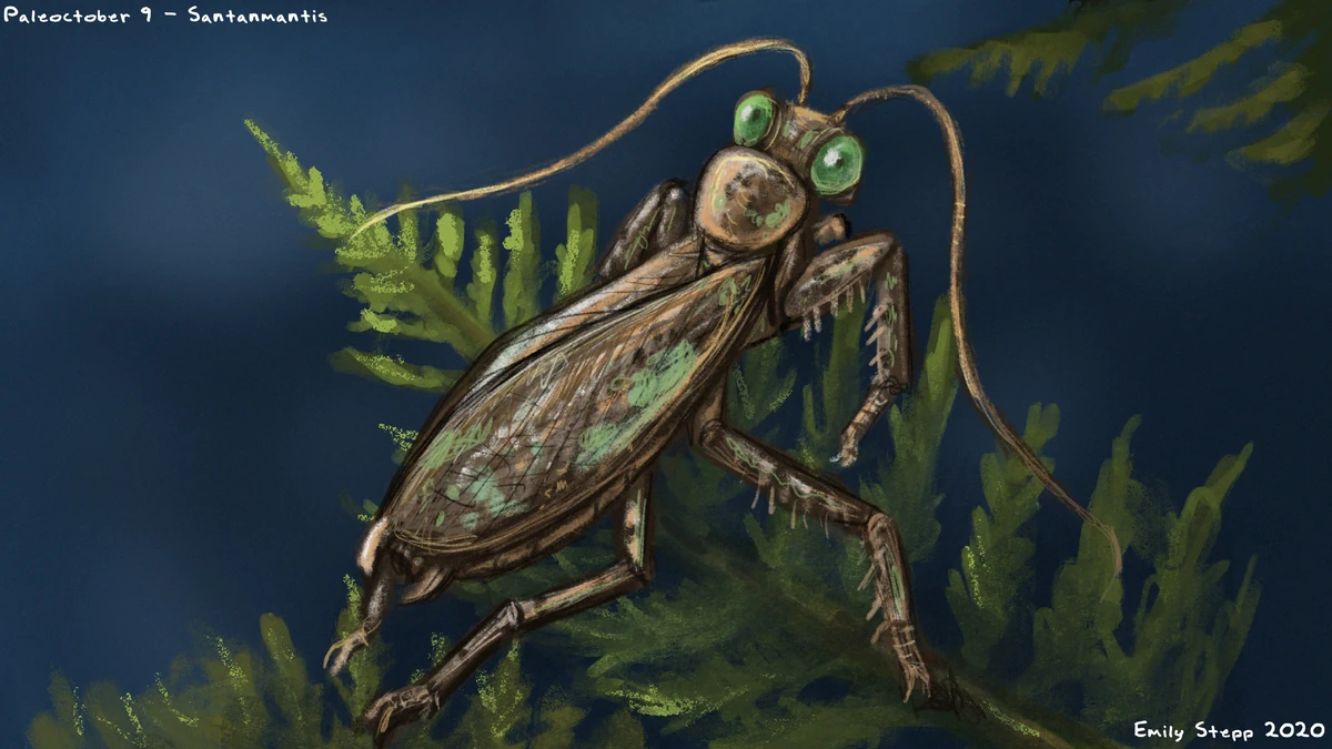 Santanmantis | Prehistoric Wiki | Fandom