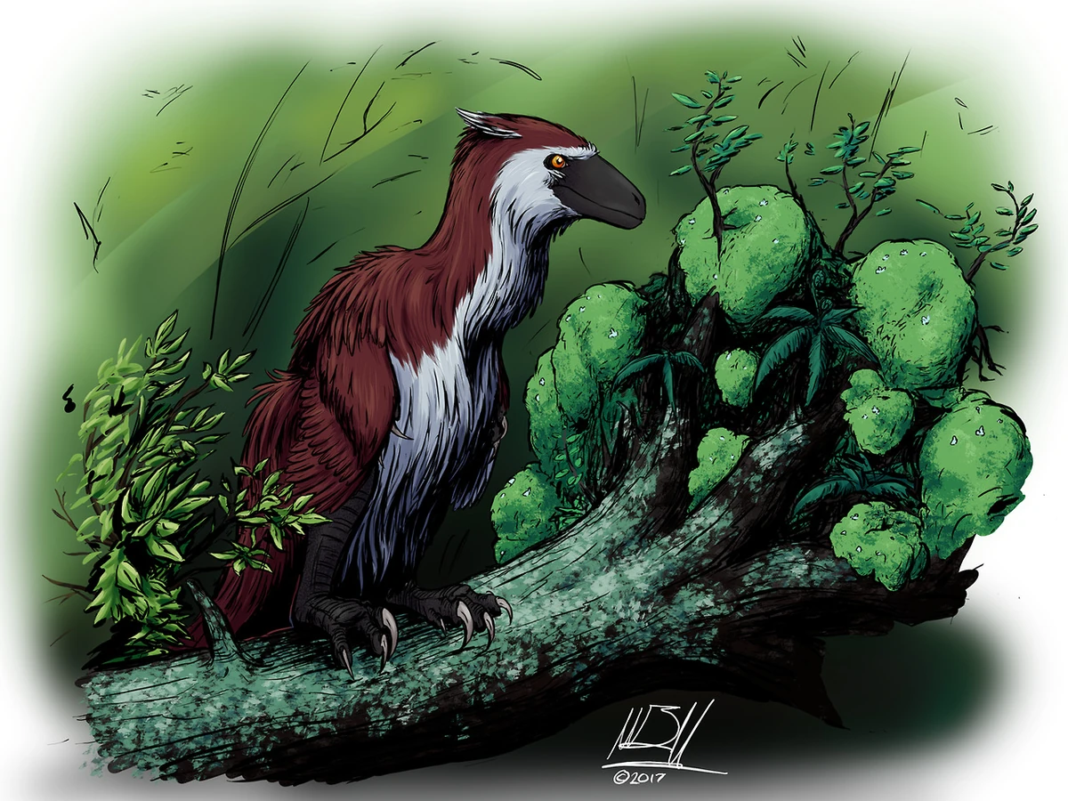 Kagasaurus | Prehistoric Wiki | Fandom