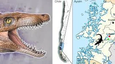 Discuss Everything About Prehistoric Wiki | Fandom