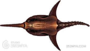 Doryaspis | Prehistoric Wiki | Fandom