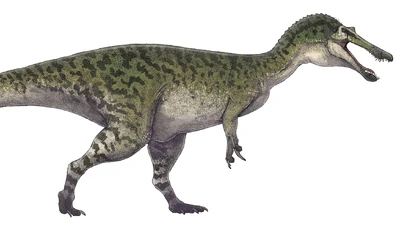Discuss Everything About Prehistoric Wiki | Fandom