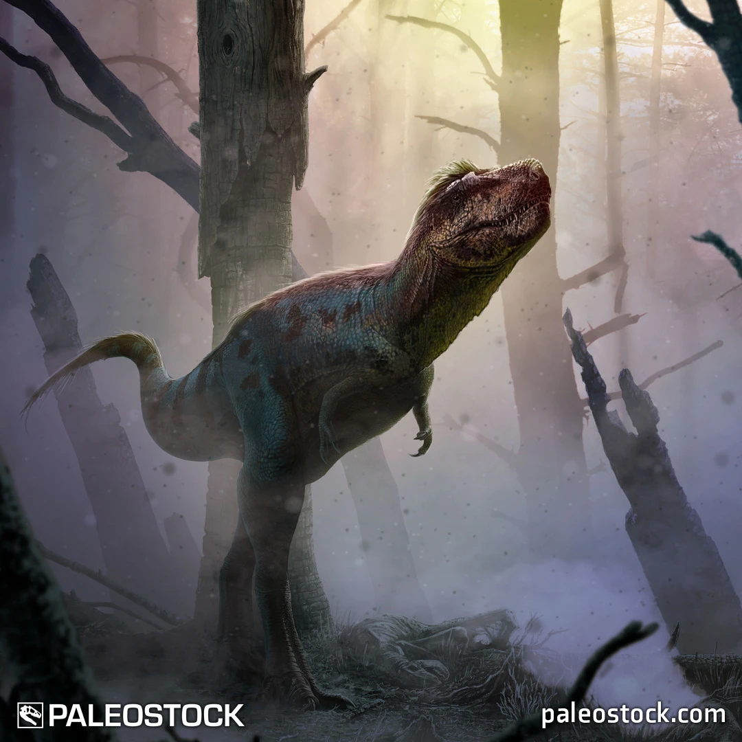 Gorgosaurus | Prehistoric Wiki | Fandom