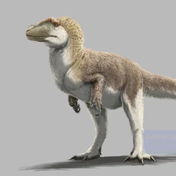 prehistoric database