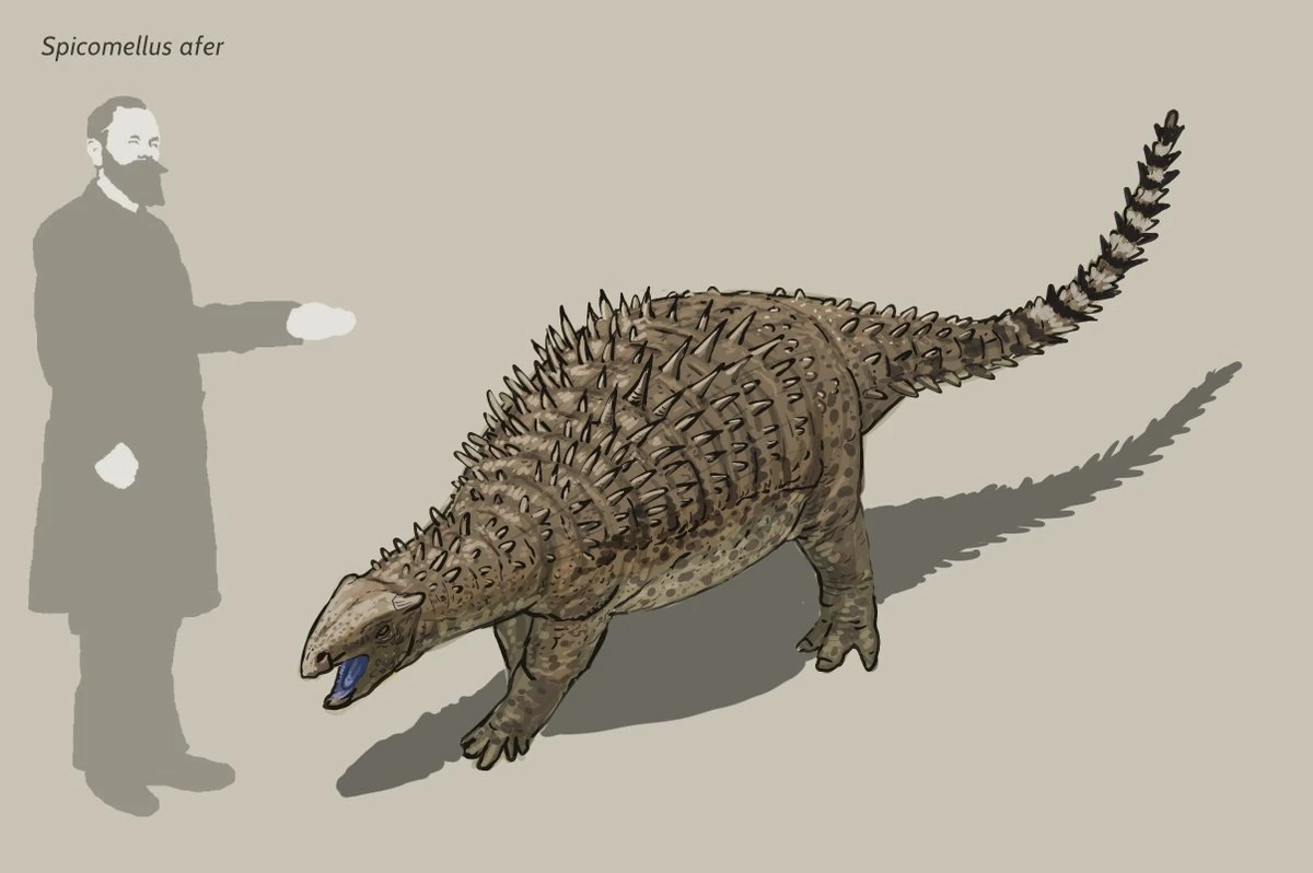 Category:Ankylosaurs | Prehistoric Wiki | Fandom