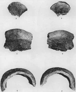 Homo soloensis | Prehistoric Wiki | Fandom