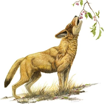 Carpocyon | Prehistoric Wiki | Fandom