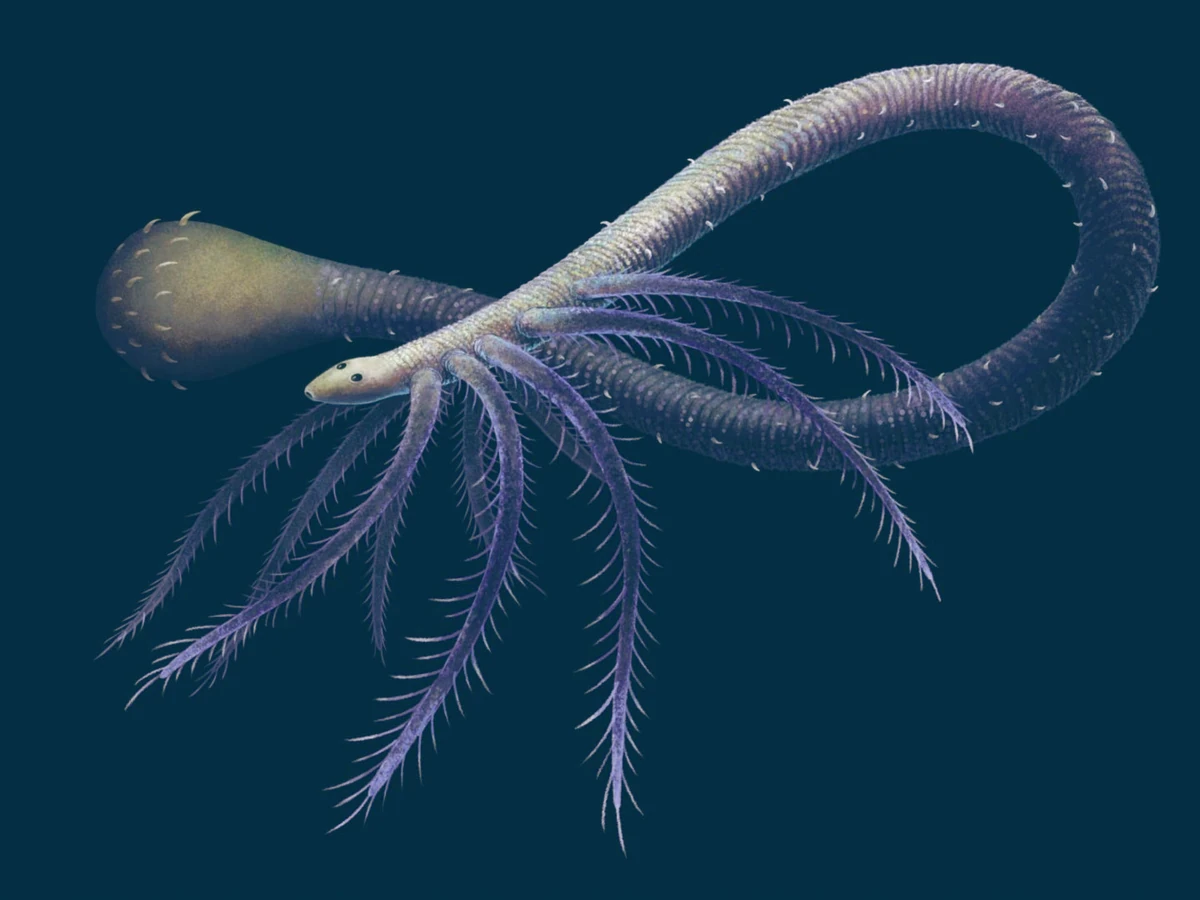 Facivermis | Prehistoric Wiki | Fandom