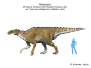 Kamuysaurus | Prehistoric Wiki | Fandom