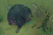 Hexaprotodon | Prehistoric Wiki | Fandom