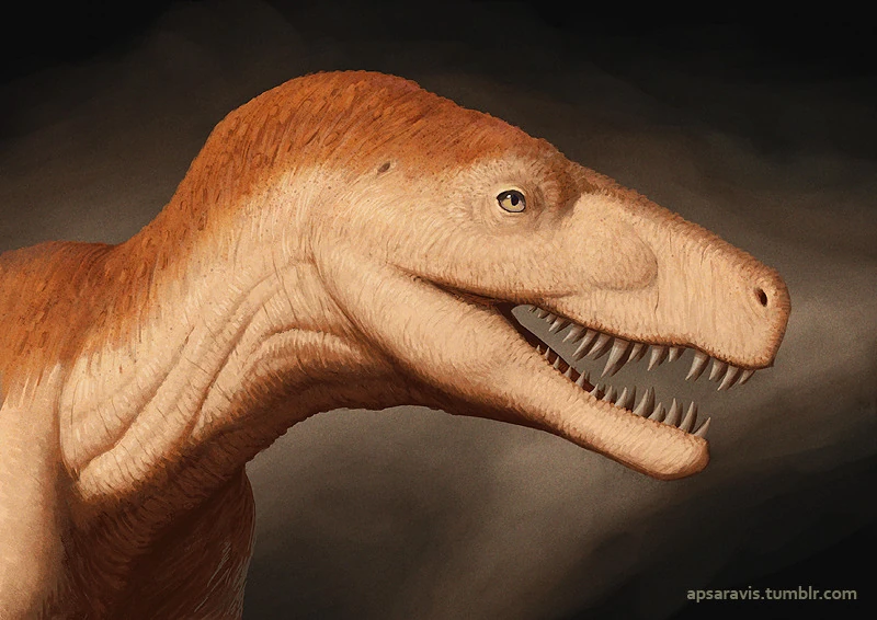 Category:Archosaurs | Prehistoric Wiki | Fandom