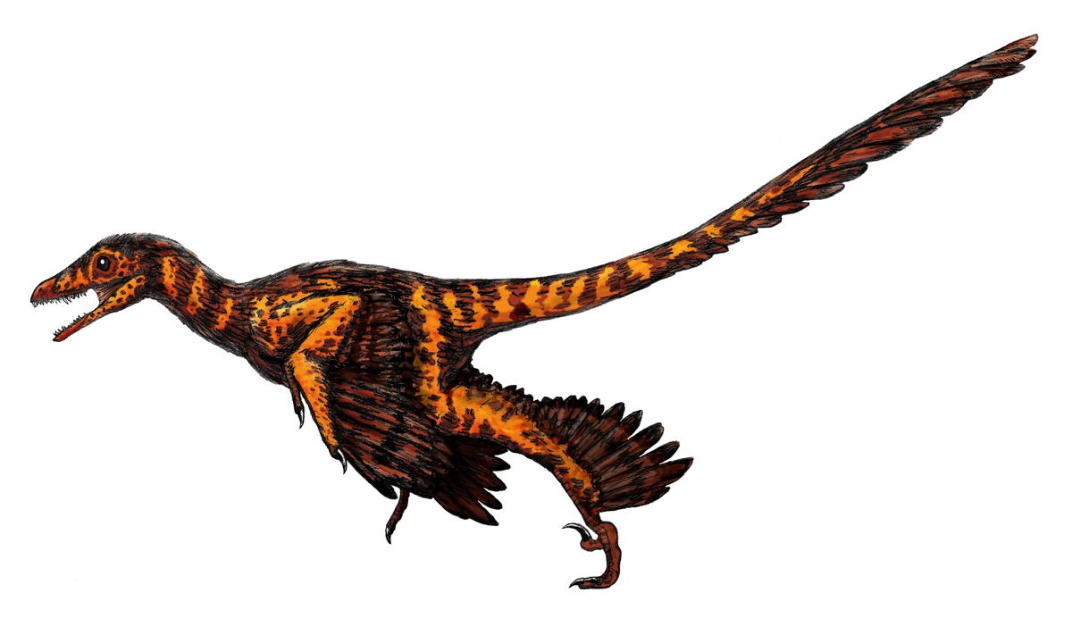 Sinornithosaurus | Prehistoric Wiki | Fandom