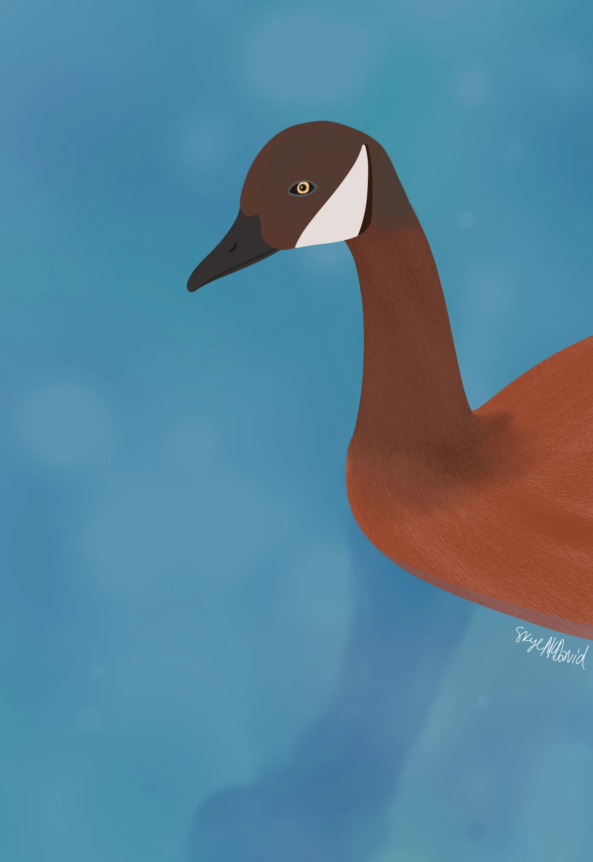 Branta rhuax | Prehistoric Wiki | Fandom