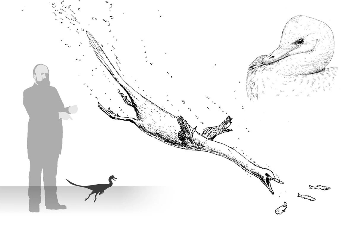 Halszkaraptor | Prehistoric Wiki | Fandom