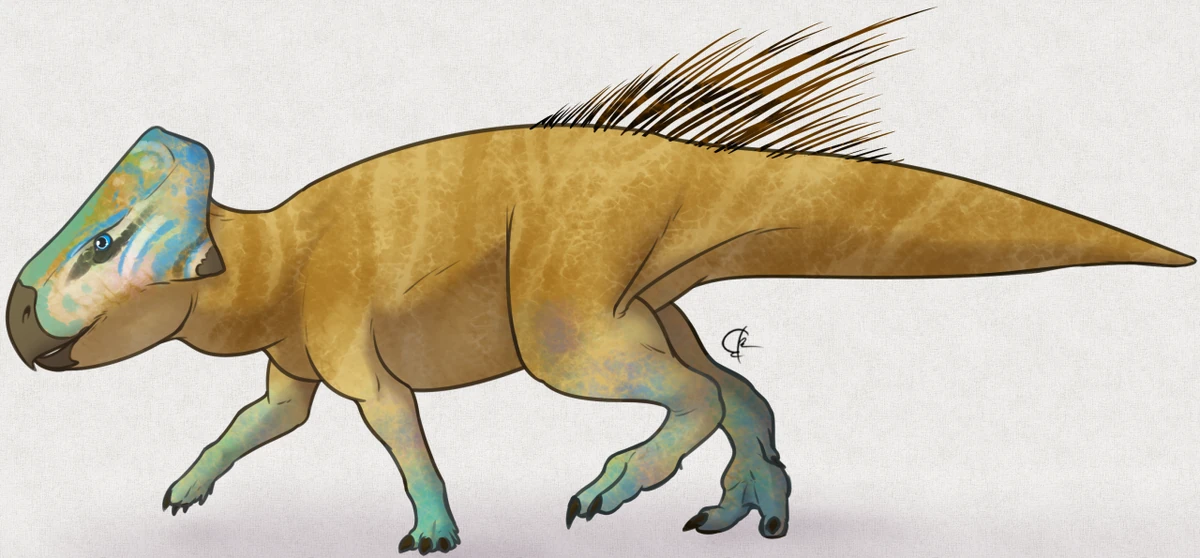 Microceratus | Prehistoric Wiki | Fandom