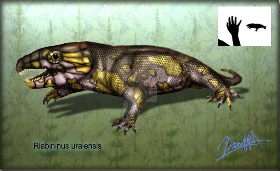 Category:Captorhinids | Prehistoric Wiki | Fandom