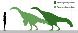 Nothronychus | Prehistoric Wiki | Fandom