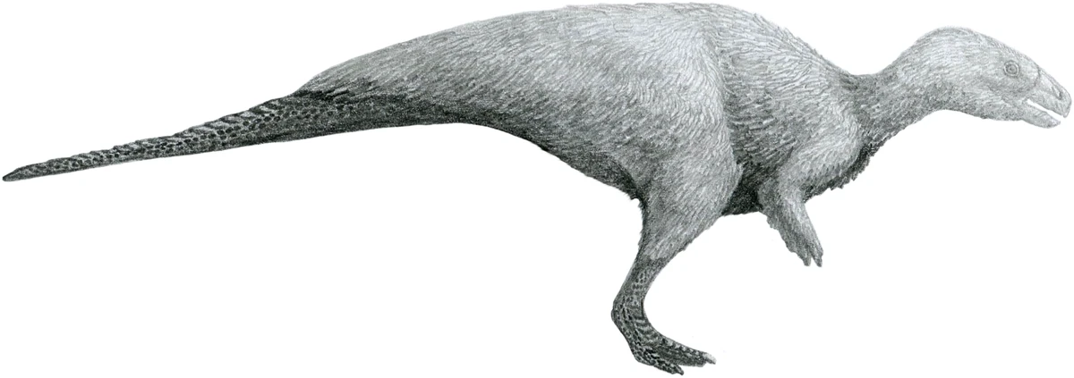Rhabdodon | Prehistoric Wiki | Fandom