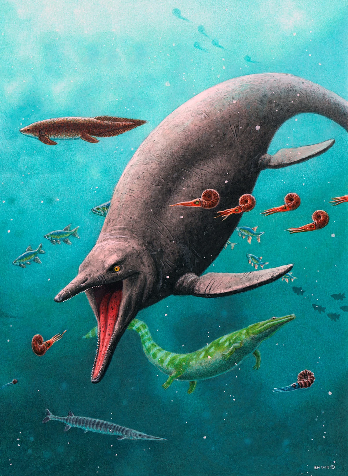 Svalbard ichthyosaur | Prehistoric Wiki | Fandom