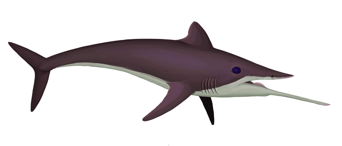 Ornithoprion | Prehistoric Wiki | Fandom