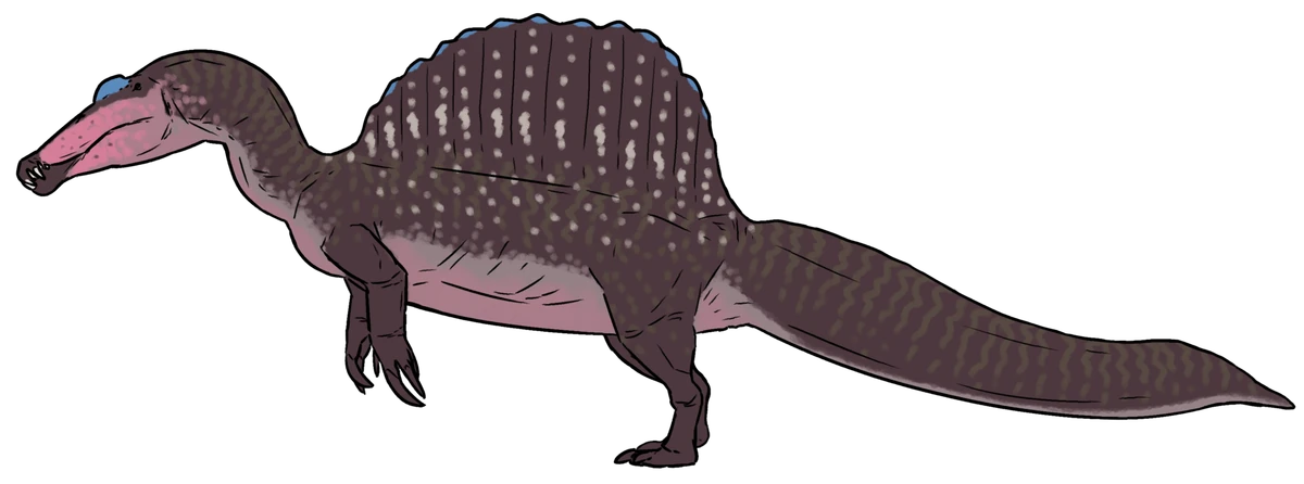 Oxalaia | Prehistoric Wiki | Fandom