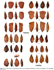 Denisovan | Prehistoric Wiki | Fandom
