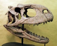 Rajasaurus | Prehistoric Wiki | Fandom