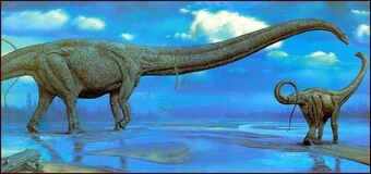 Fukuititan | Prehistoric Wiki | Fandom