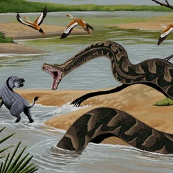Madtsoia Vs Titanoboa