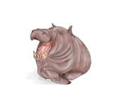 Hexaprotodon | Prehistoric Wiki | Fandom