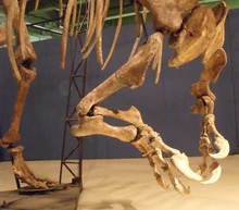 Suchomimus | Prehistoric Wiki | Fandom