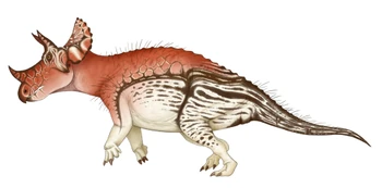 Tatankaceratops | Prehistoric Wiki | Fandom