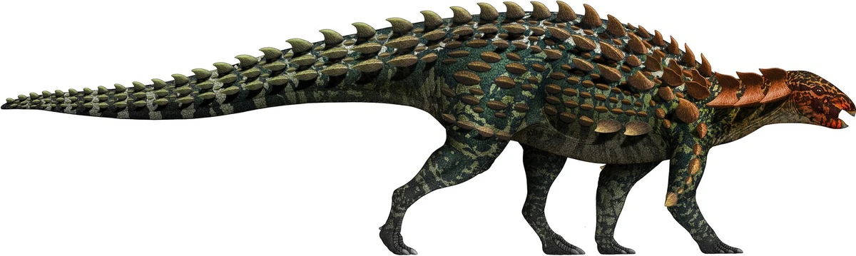 Yuxisaurus | Prehistoric Wiki | Fandom