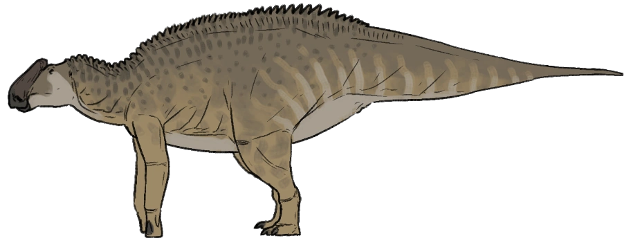 Bonapartesaurus | Prehistoric Wiki | Fandom