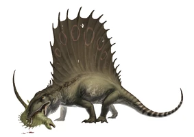 Dimetrodon | Prehistoric Wiki | Fandom