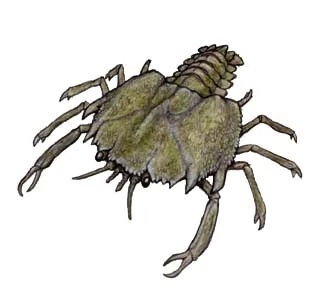 Eryon | Prehistoric Wiki | Fandom